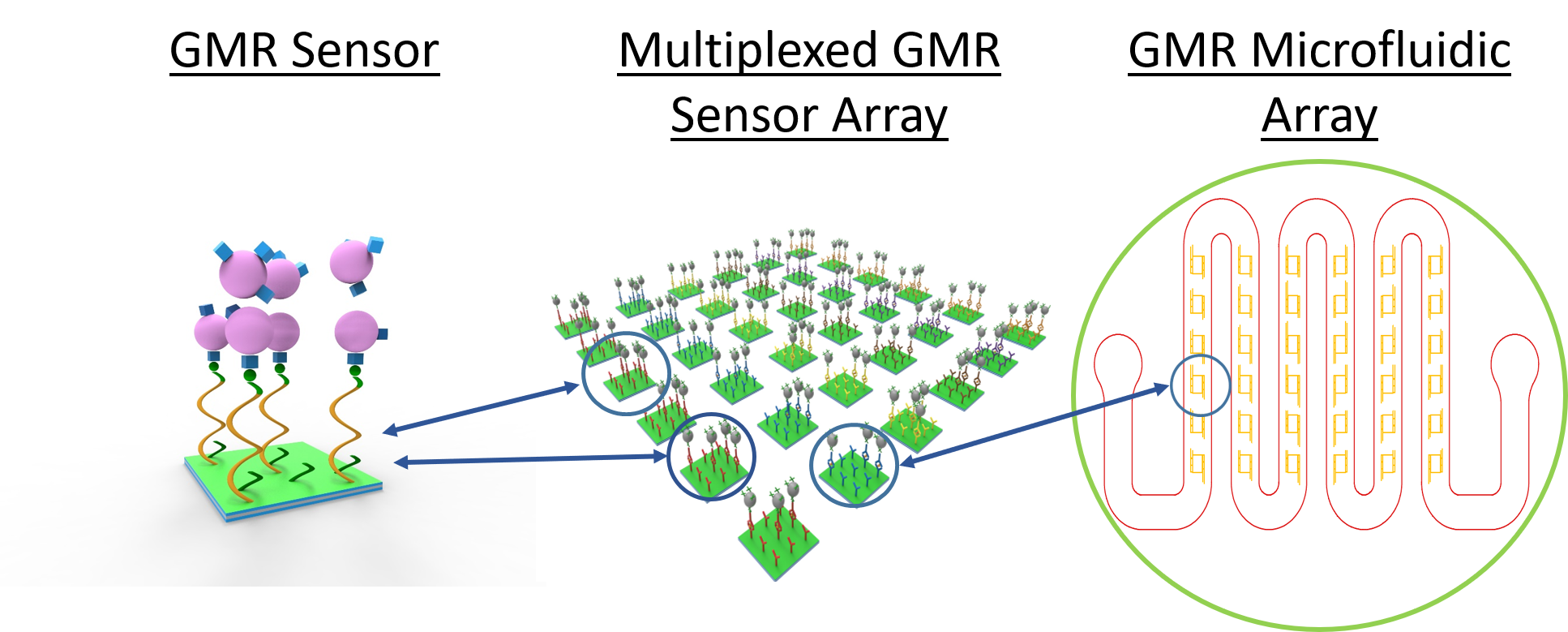 fungal_gmr_website | Zepto Life Technology Inc.